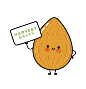 Stryder bites | Rancho Vignola